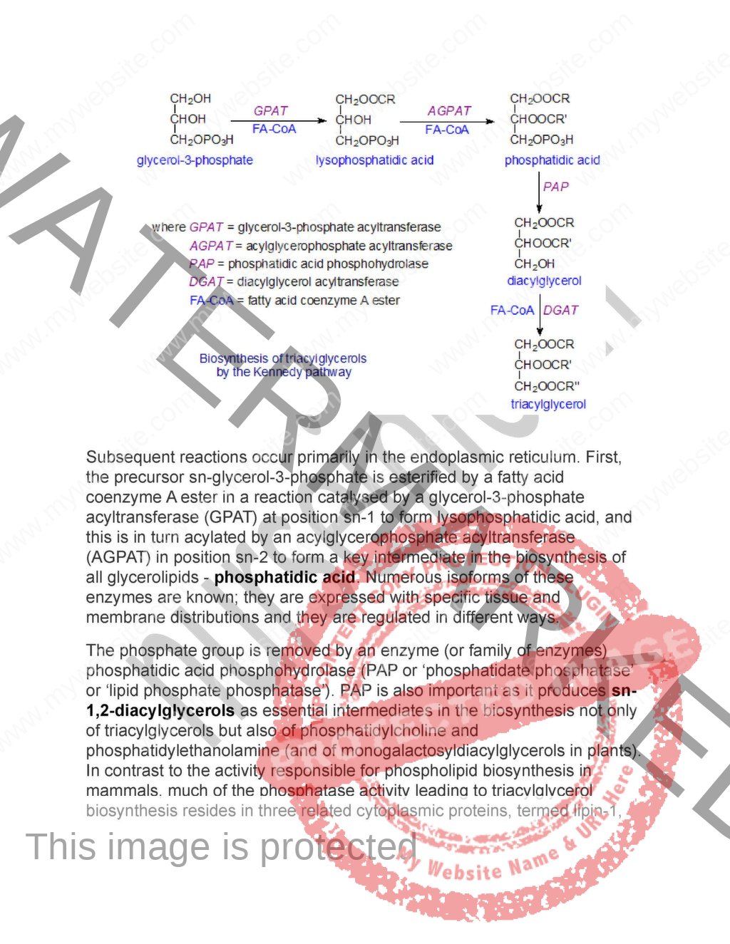 BSC Nursing First Year Biochemistry Notes/Book (PDF) - Nurse Info