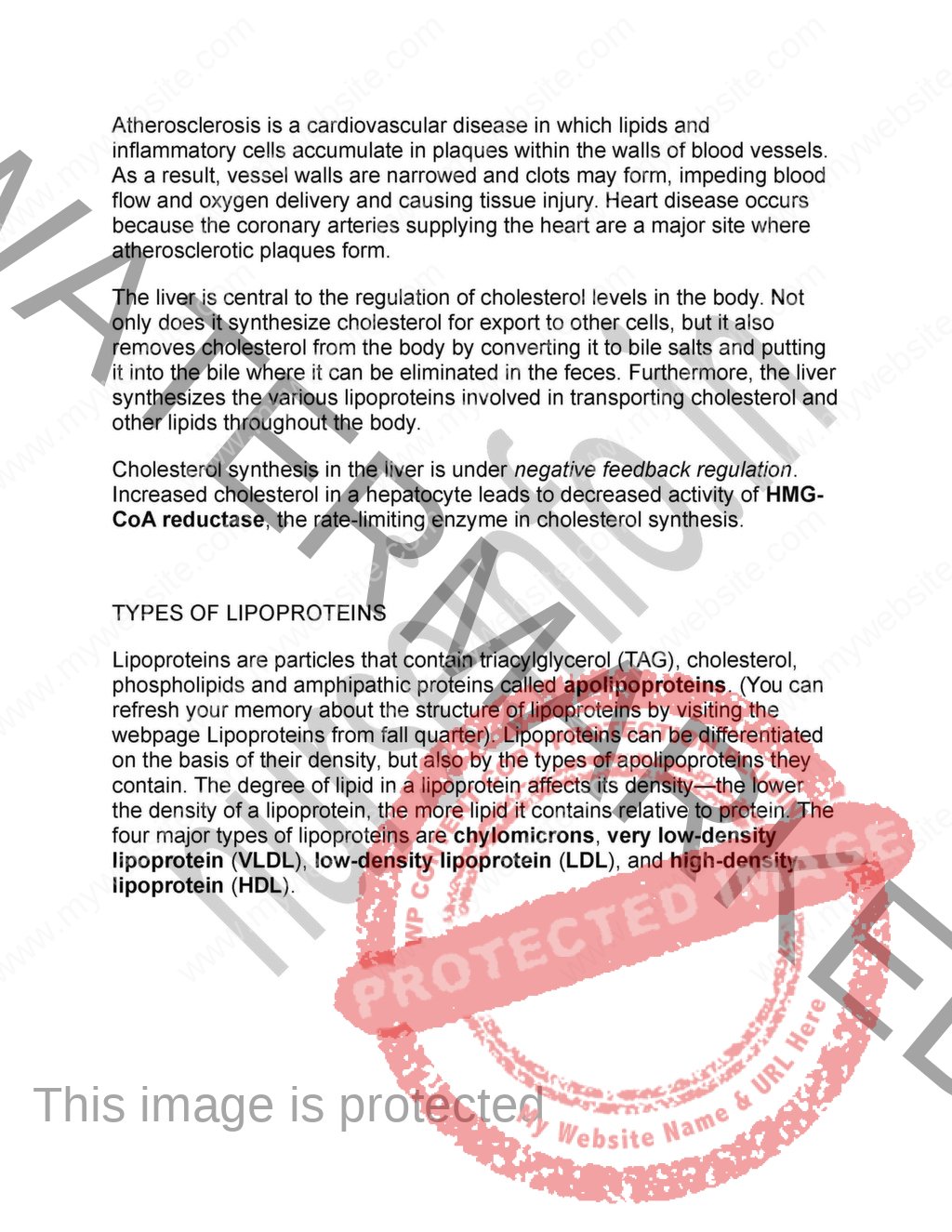 BSC Nursing First Year Biochemistry Notes/Book (PDF) - Nurse Info