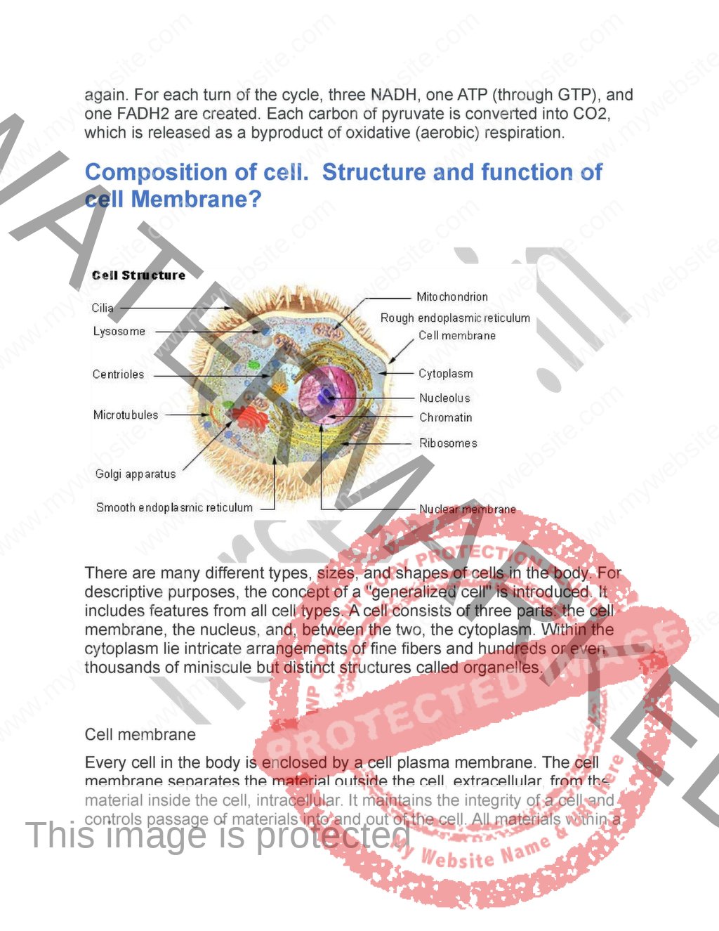BSC Nursing First Year Biochemistry Notes/Book (PDF) | nurseinfo
