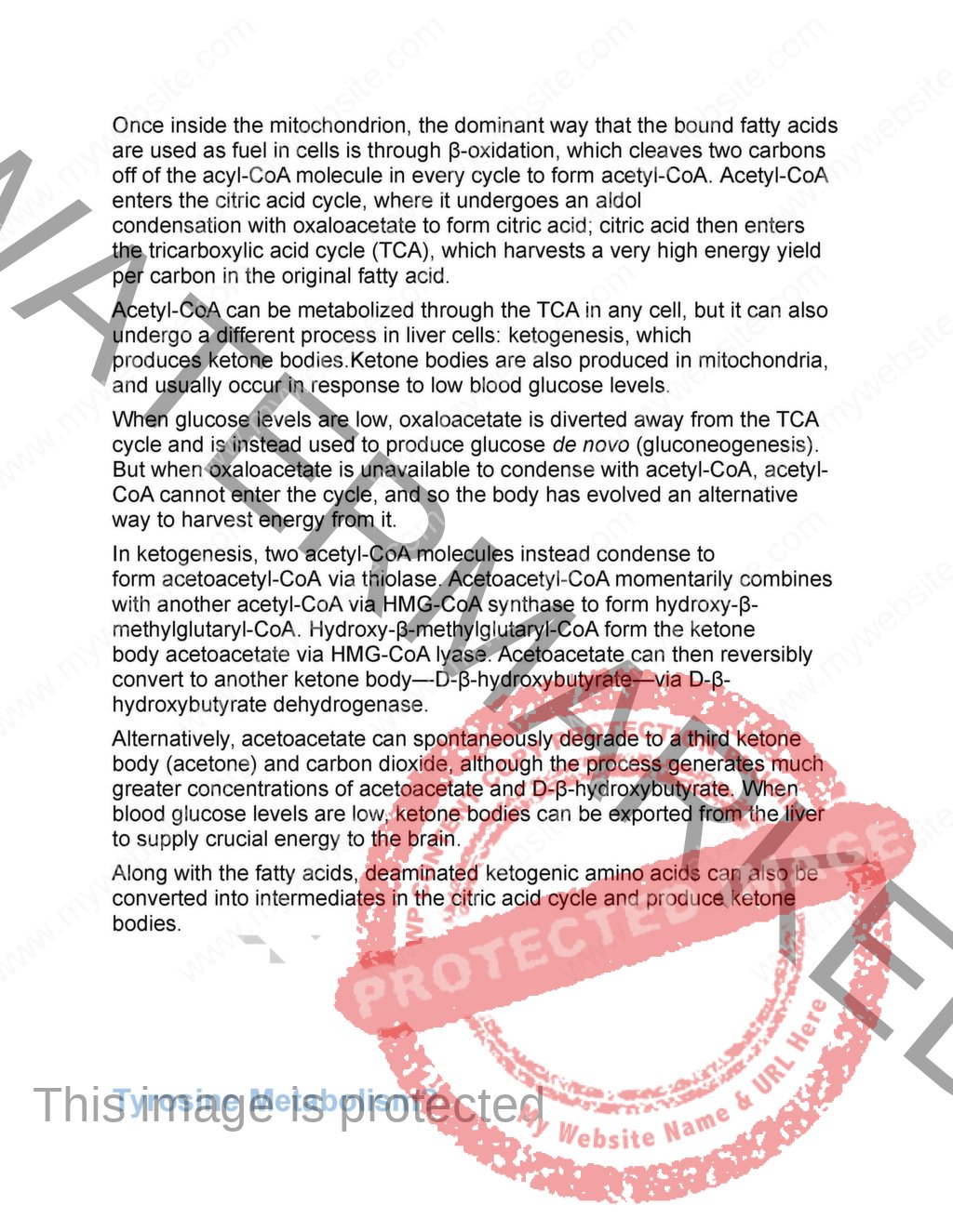 BSC Nursing First Year Biochemistry Notes/Book (PDF) | nurseinfo