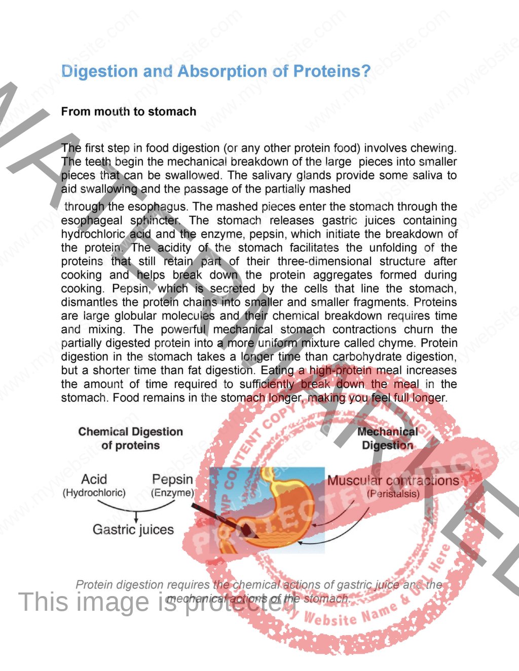 BSC Nursing First Year Biochemistry Notes/Book (PDF) | nurseinfo