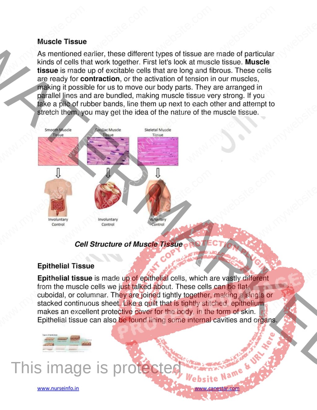 GNM (General Nursing and Midwifery) First Year BIOSCIENCE Notes/Book ...