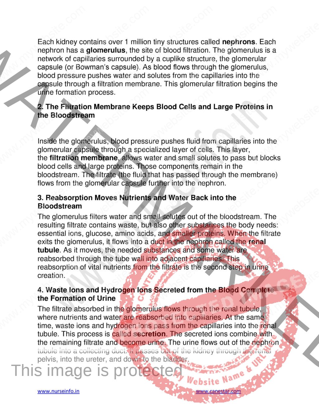 GNM (General Nursing and Midwifery) First Year BIOSCIENCE Notes/Book ...