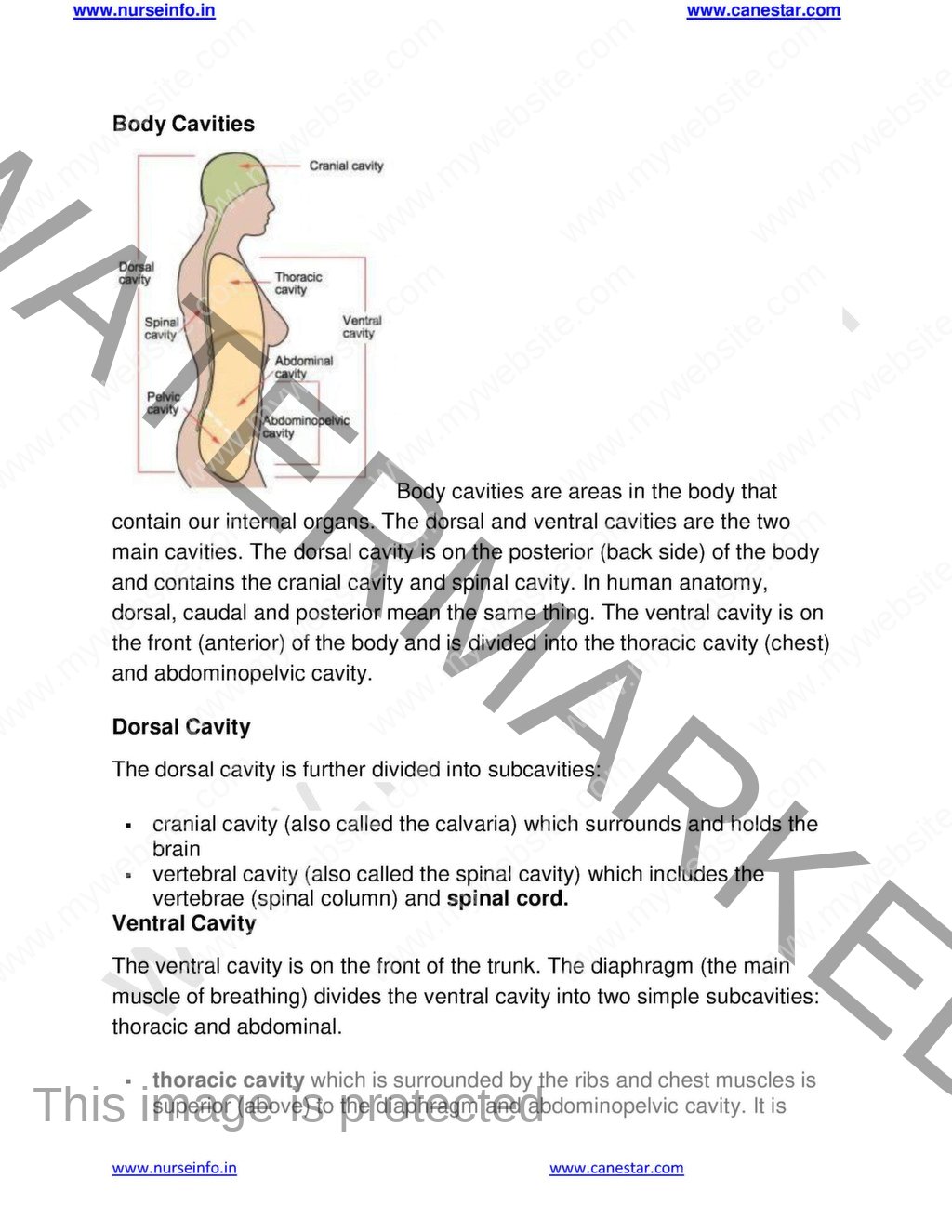 Applied Anatomy Notes/Book (PDF) FOR BSC NURSING STUDENTS - Nurse Info ...