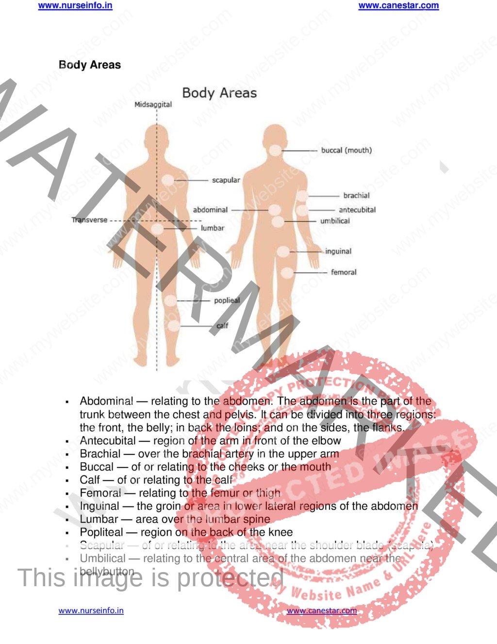 Applied Anatomy Notes/Book (PDF) FOR BSC NURSING STUDENTS - Nurse Info ...