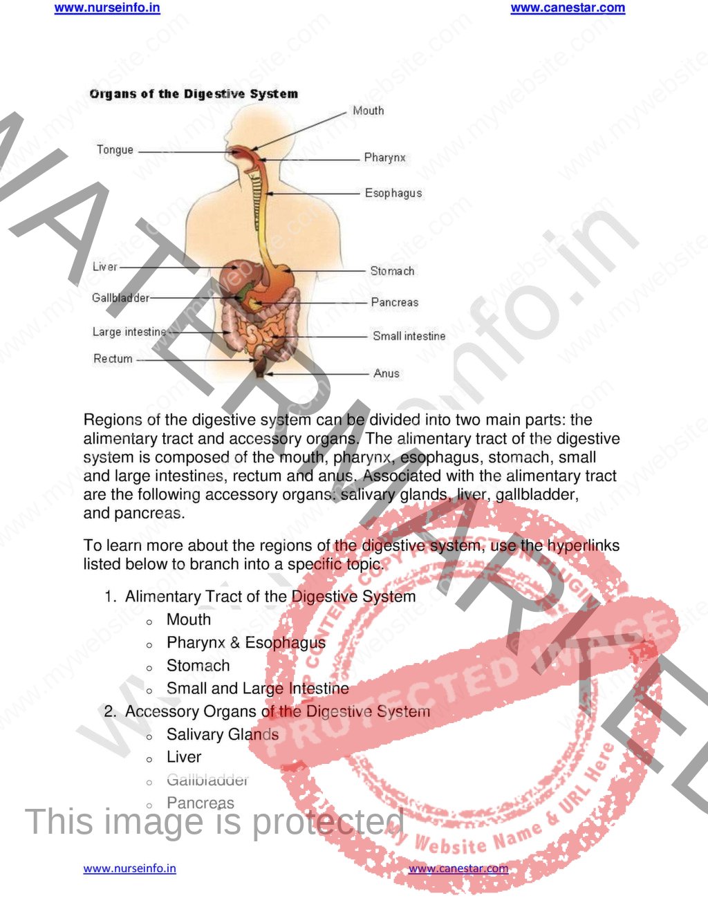 Applied Anatomy Notes/Book (PDF) FOR BSC NURSING STUDENTS - Nurse Info ...