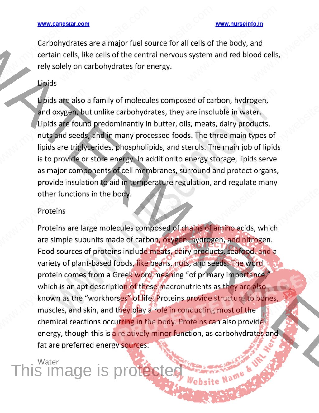 Nurse Info Revised Applied Nutrition and Dietetics Notes/Book (PDF) FOR ...