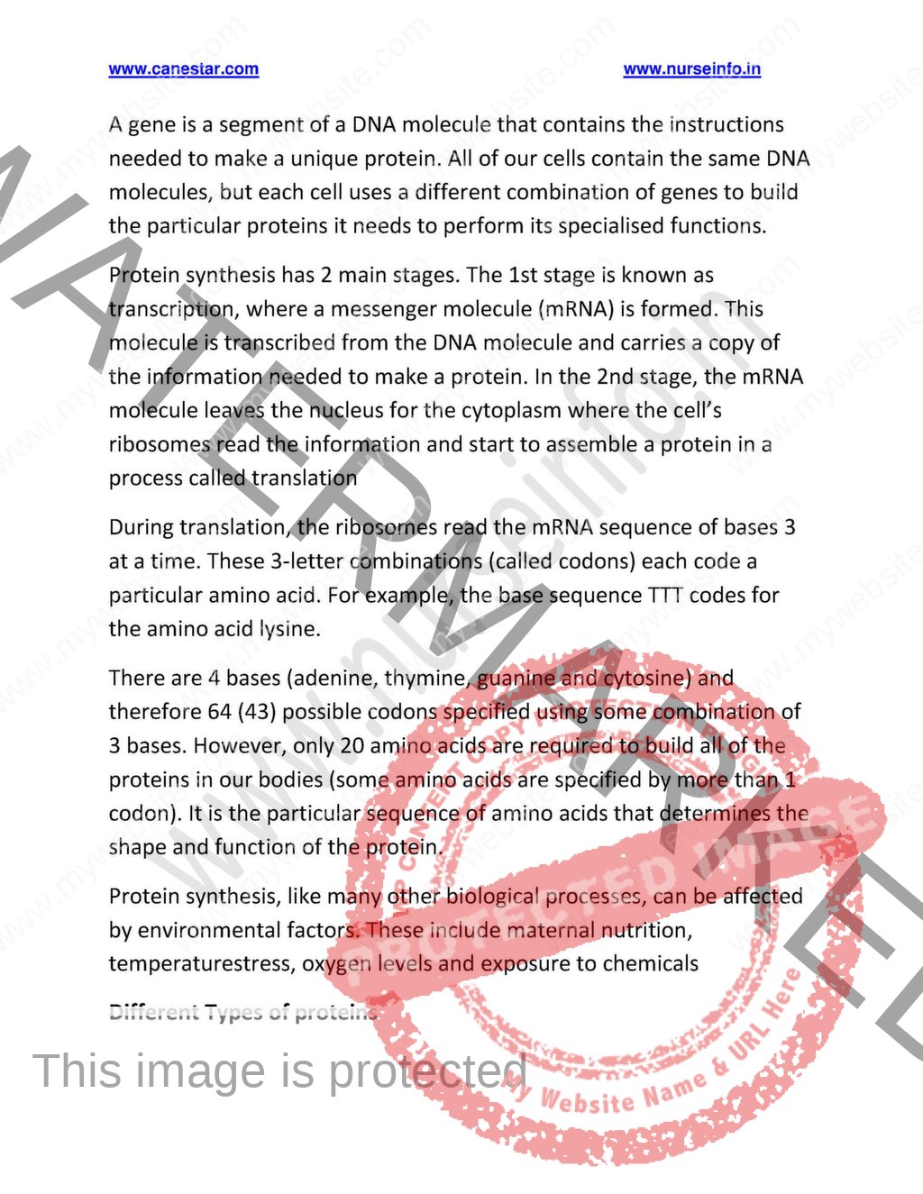 Nurse Info Revised Applied Nutrition and Dietetics Notes/Book (PDF) FOR ...