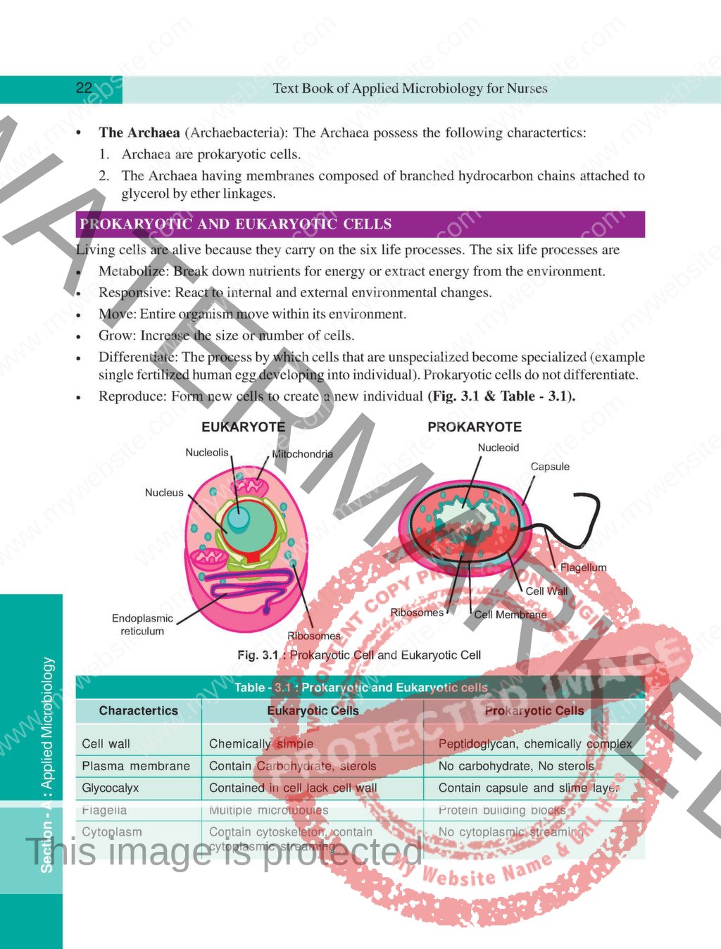 Applied Microbiology for Nurses (including Infection Control & Safety ...