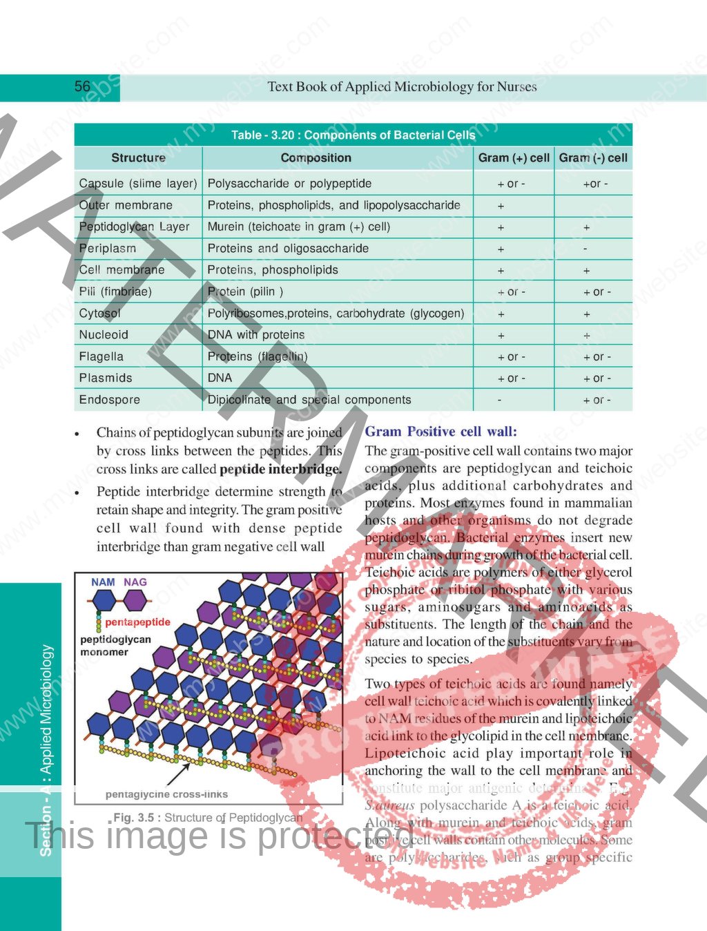 Applied Microbiology for Nurses (including Infection Control & Safety ...